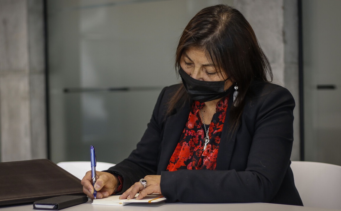 Usach divulga datos académicos de Elisa Loncon tras decisión judicial ...