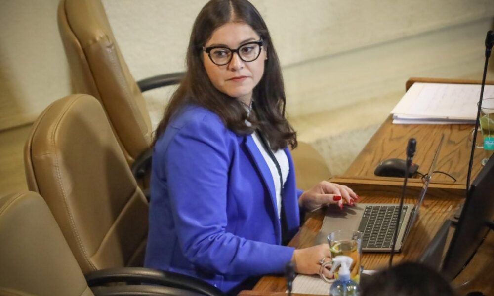 La propuesta de la Diputada Karen Medina: ¿Una cárcel de alta seguridad ...