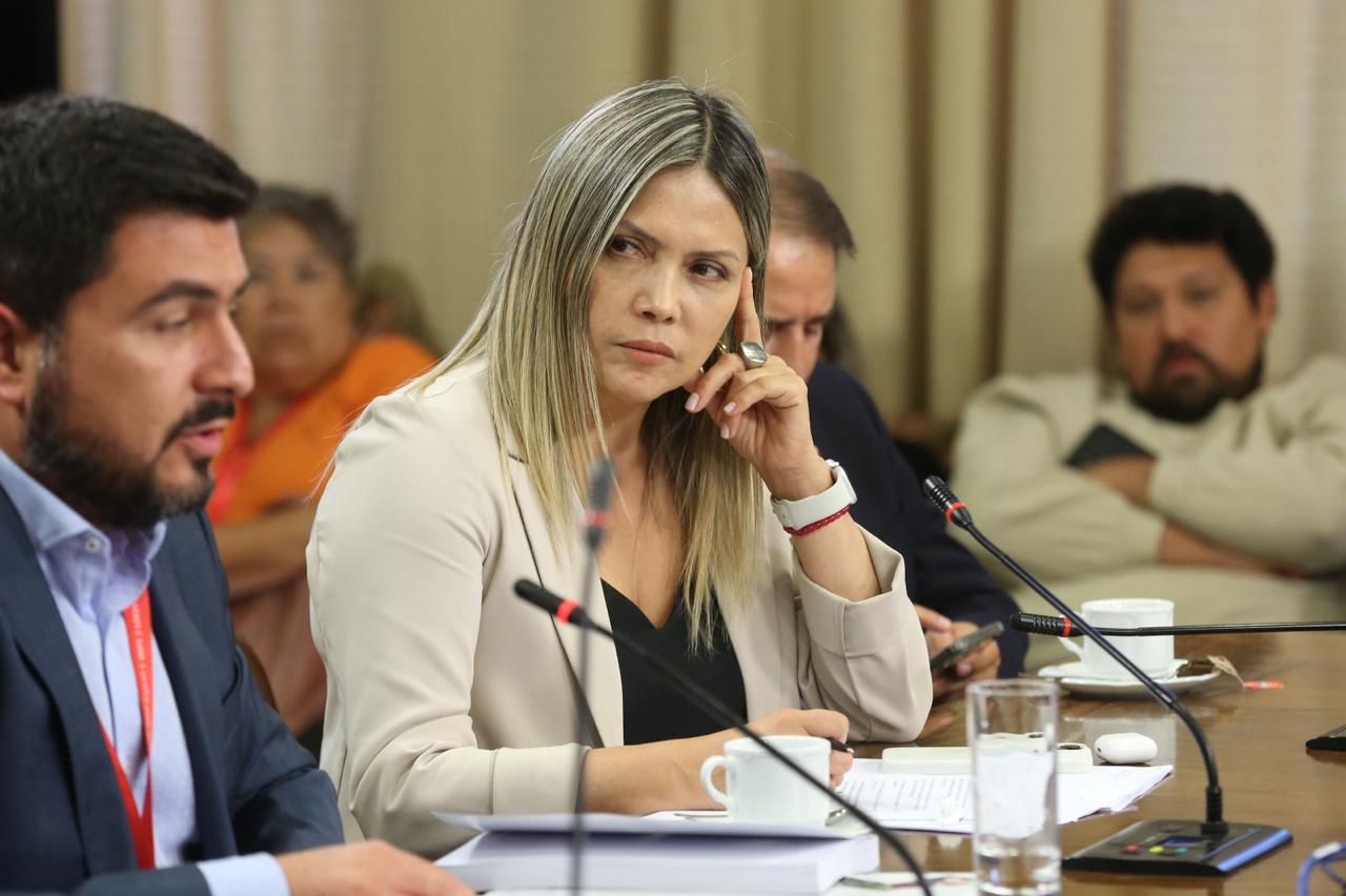 Diputada Marlene Pérez denuncia falta de acción en protección de mejor ...